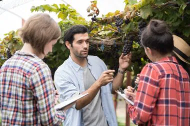 Emploi : ces métiers qui recrutent le plus en 2026
